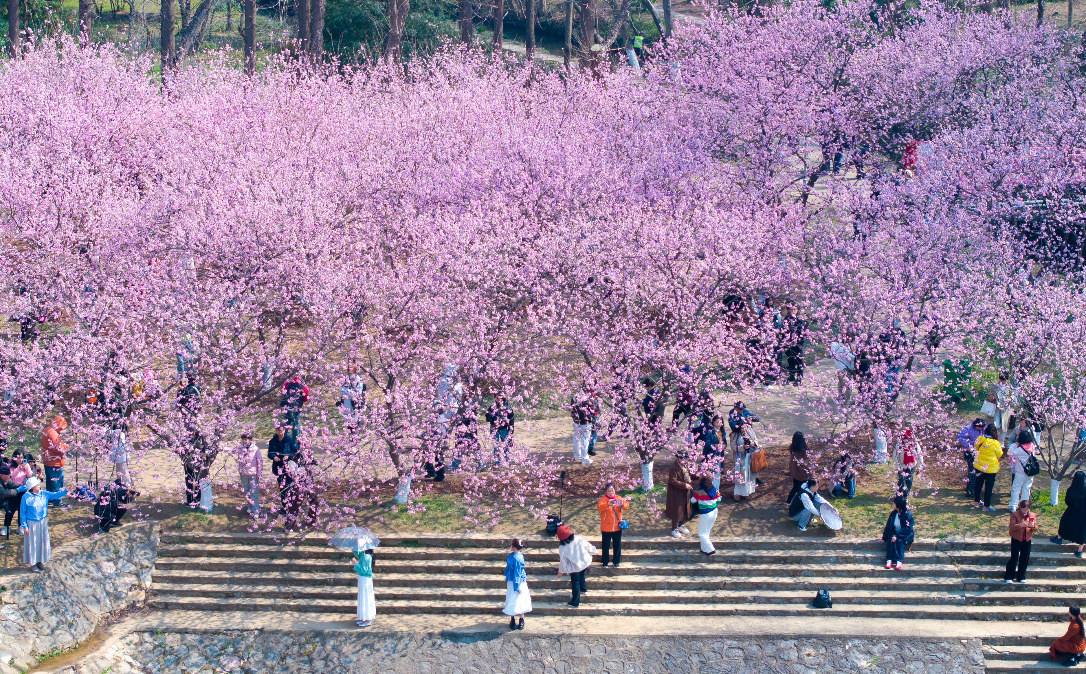 Vistazo a la primavera en china - Portal de la Franja y la Ruta