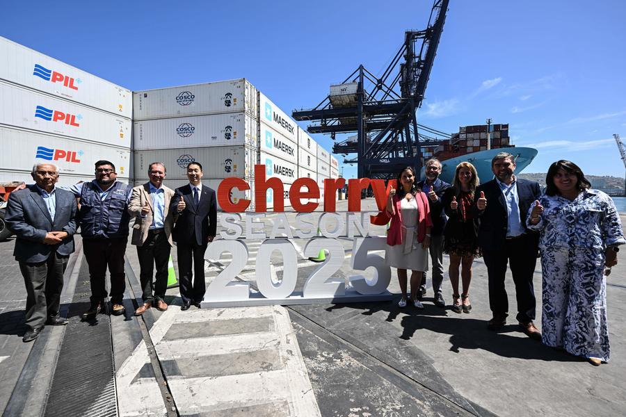 Observatorio económico: Cerezas chilenas, un símbolo festivo que se ha ...